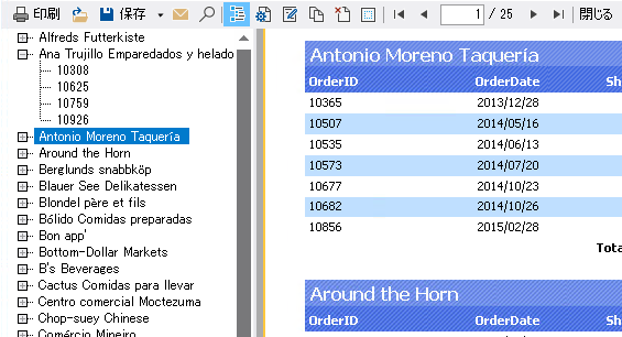 レポートのアウトライン | FastReport .NET